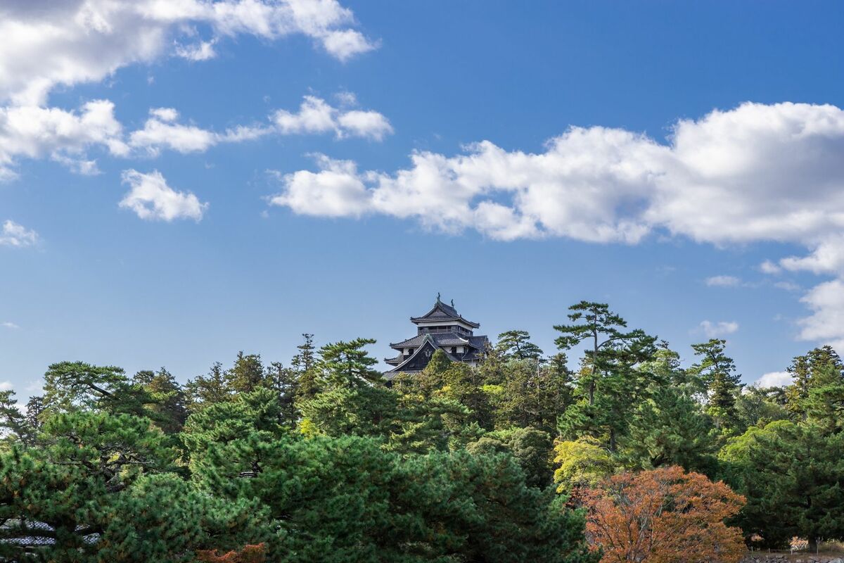 『ばけばけ』主人公のモデル・小泉セツの実父母、実祖父はどんな人？松江の上級士族、死して主君を戒めた母方の祖父 朝ドラ『ばけばけ』ゆかりの人々（3）(1/4) | JBpress (ジェイビープレス)