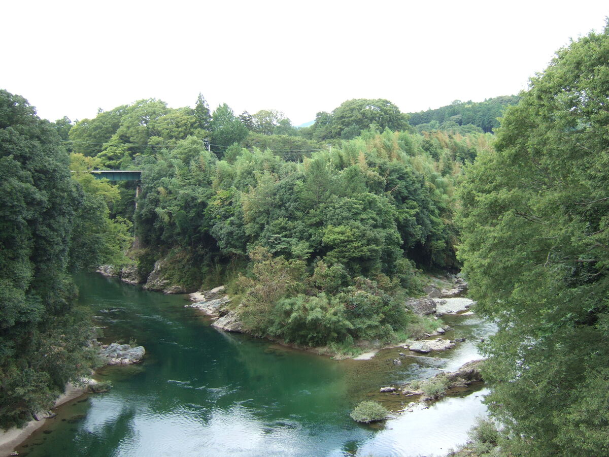 織田信長は武田勝頼との長篠合戦を短期決戦と考えていた？その理由 信長と家康が無策と見ていた勝頼、信長は防戦を望んでいたのか(1/3) | JBpress (ジェイビープレス)