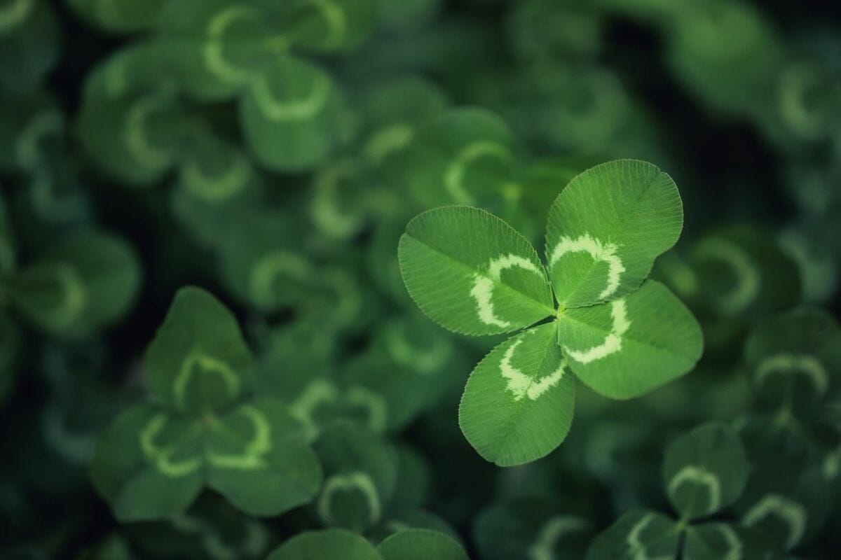 人生の90％を決めているのは運、では残り10％は何か 意志が人生を方向づけ、幸運を幸運たらしめるのは意志を現実化する実力【JBpressセレクション】(1/5) | JBpress (ジェイ ...