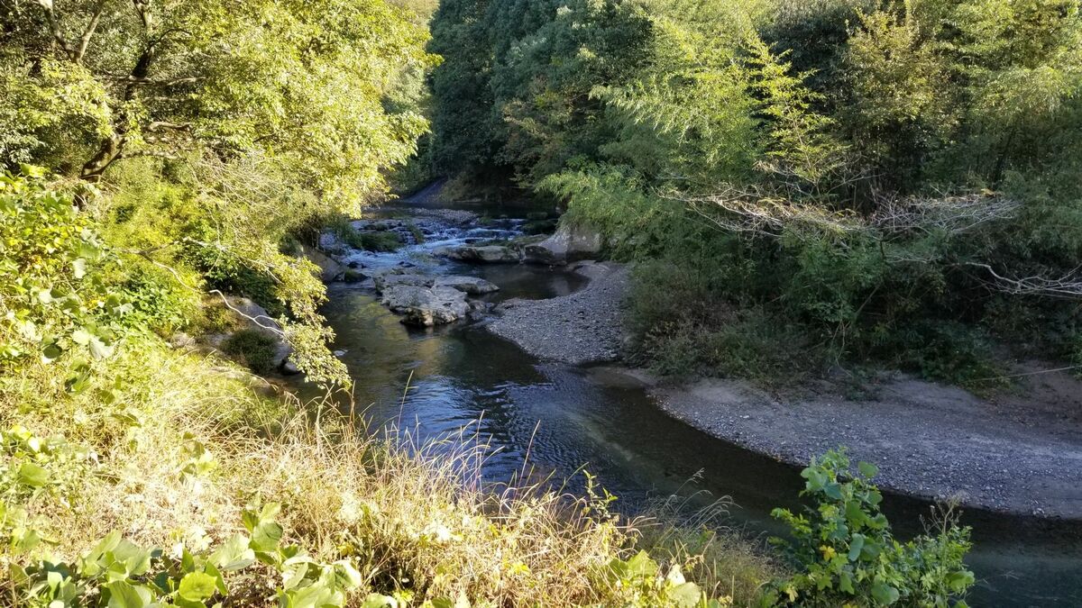 写真ギャラリー4枚め｜鹿児島県霧島市への移住者はなぜみんな定住するのか シリーズ「商いの原点」（番外編）～霧島市役所 霧島PR課・地域政策課 | JBpress (ジェイビープレス)