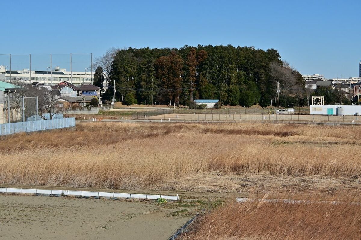 箕田城は源経基の館か？「将門の乱」ゆかりがあるとされる城の真実と本来の役割 東京近郊の「問題な城跡」を歩く（1） | JBpress (ジェイビープレス)