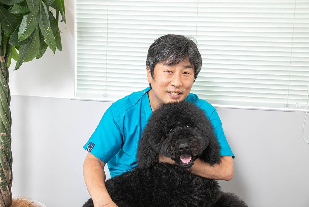 写真ギャラリー2枚め｜ネコ診療後に獣医師が死亡、致死率1割、西日本で約100例の感染例、マダニが媒介する感染症「SFTS」はなぜ危ないか？ 圧倒的に多いネコの感染、ネコは室内飼育が安全、マダニ ...