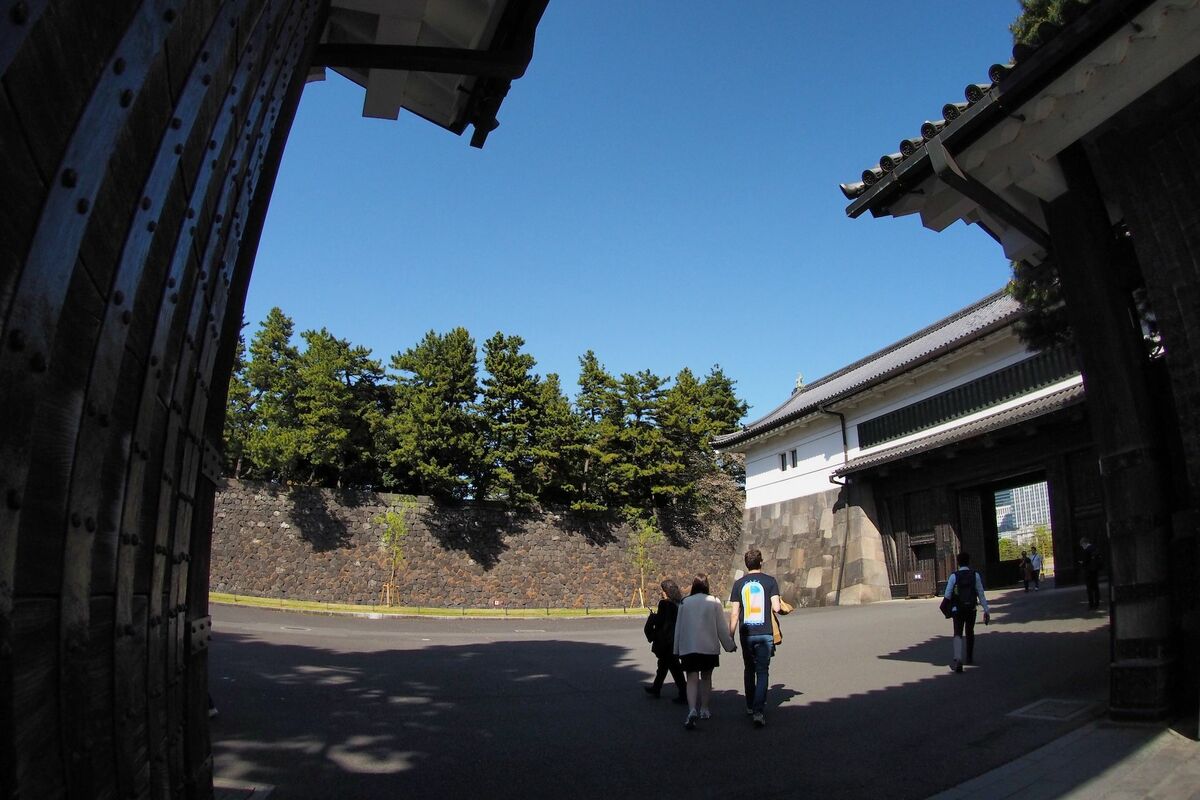 近世城郭の門と枡形を知りたかったら江戸城へ！③一般公開されていない3つの門と、城屈指のえげつなさ「外桜田門」(1/2) | JBpress (ジェイビープレス)