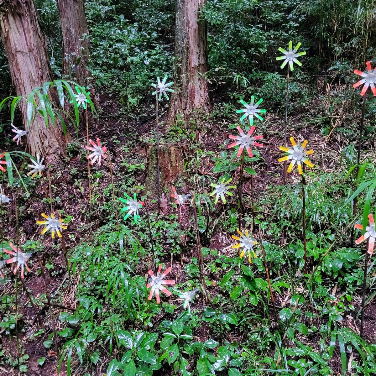 写真ギャラリー20枚め｜“日本一美しい廃線跡”、旧国鉄倉吉線廃線跡の魅力とその知られざる歴史 SNSで人気に、インバウンドも急増中 | JBpress (ジェイビープレス)