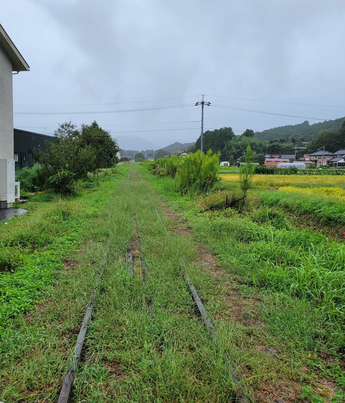 写真ギャラリー3枚め｜“日本一美しい廃線跡”、旧国鉄倉吉線廃線跡の魅力とその知られざる歴史 SNSで人気に、インバウンドも急増中 | JBpress (ジェイビープレス)