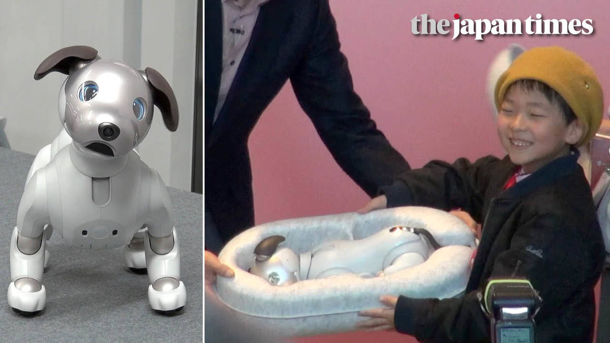 The new Aibo meets its new owner at Sony’s Tokyo headquarters | JBpress ...